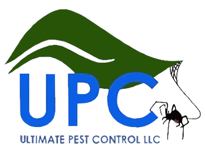 Common Pest Pressures Eugene, OR | Ultimate Pest Control